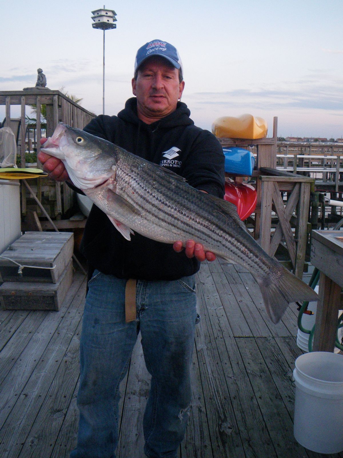 The Fishing Line: Striper Time