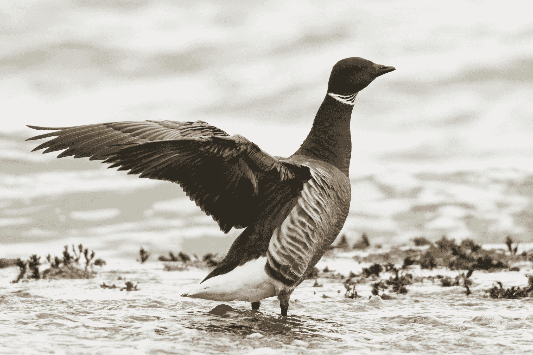 Ocean City Mayor Jay Gillian Filing for Personal Bankruptcy