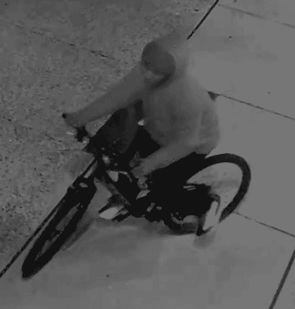 Stone Harbor Police Seeking Suspect in Burglaries of Businesses