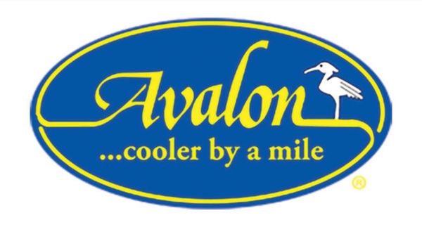 Avalon to Get Beefed-up Cybersecurity at a Lower Cost