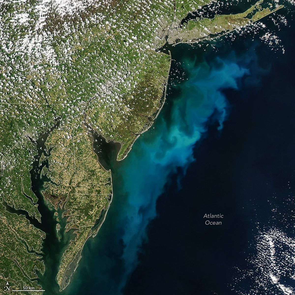 The Deep Blue Sea Is Now a Brighter Blue