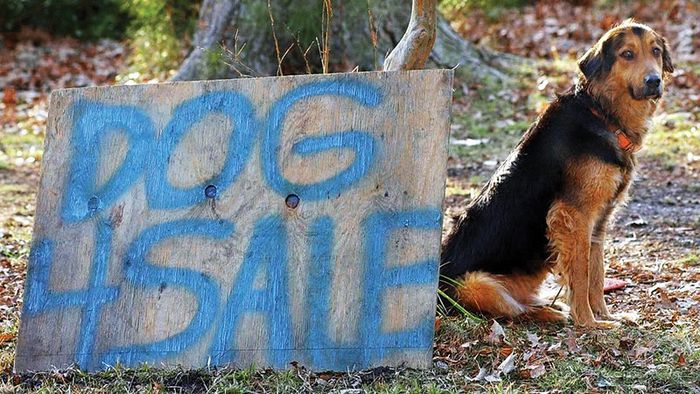 Farewell to John Sheally