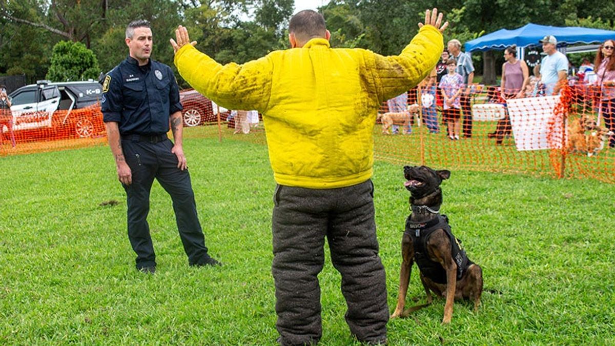 SPD Special Units Showcase