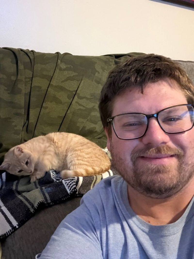 Stowaway: The adventures of Delilah the cat
