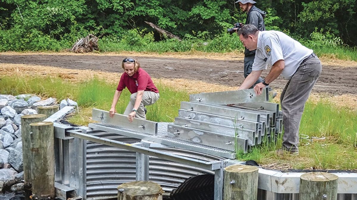 Modeling a better, wetter swamp