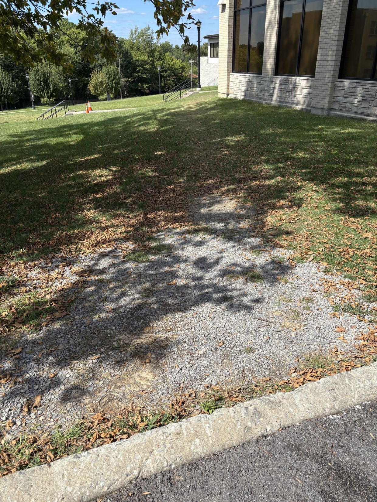 Desire paths: why we walk off the beaten path