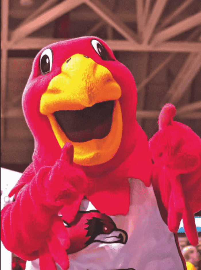 Celebrating Rowdy the Redhawk and his history at SEMO