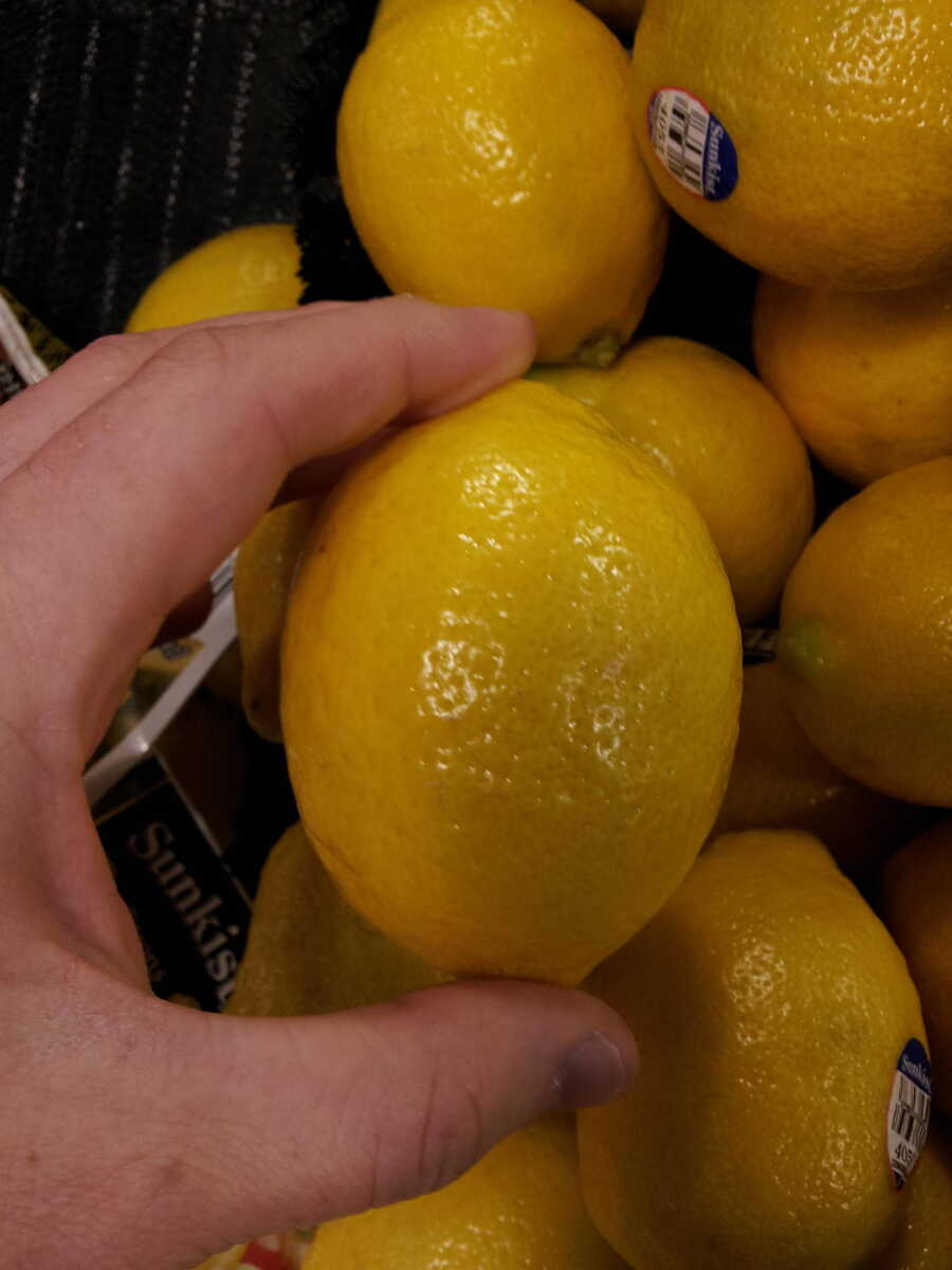 Gamma Sigma Sigma sorority plan a lemon carnival fundraiser