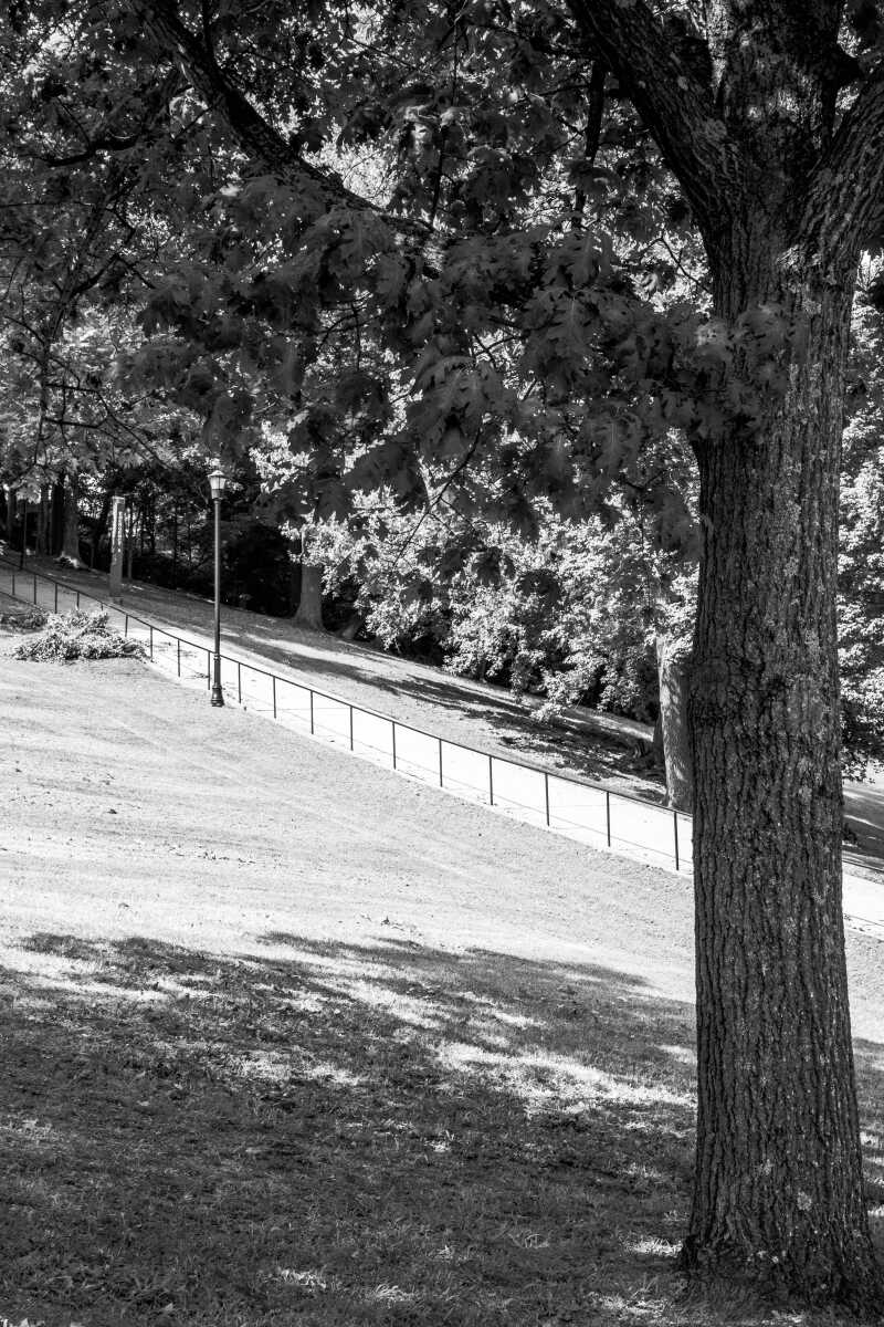 A glance into the history of Cardiac Hill