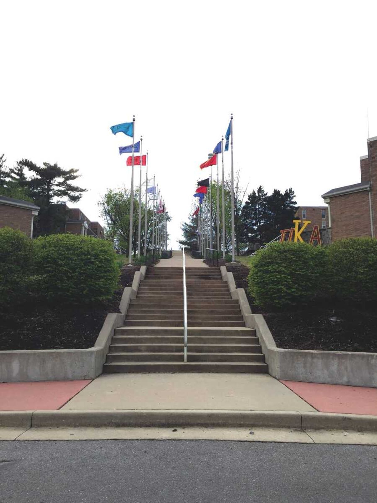 Three sororities to visit Southeast as potential Panhellenic additions