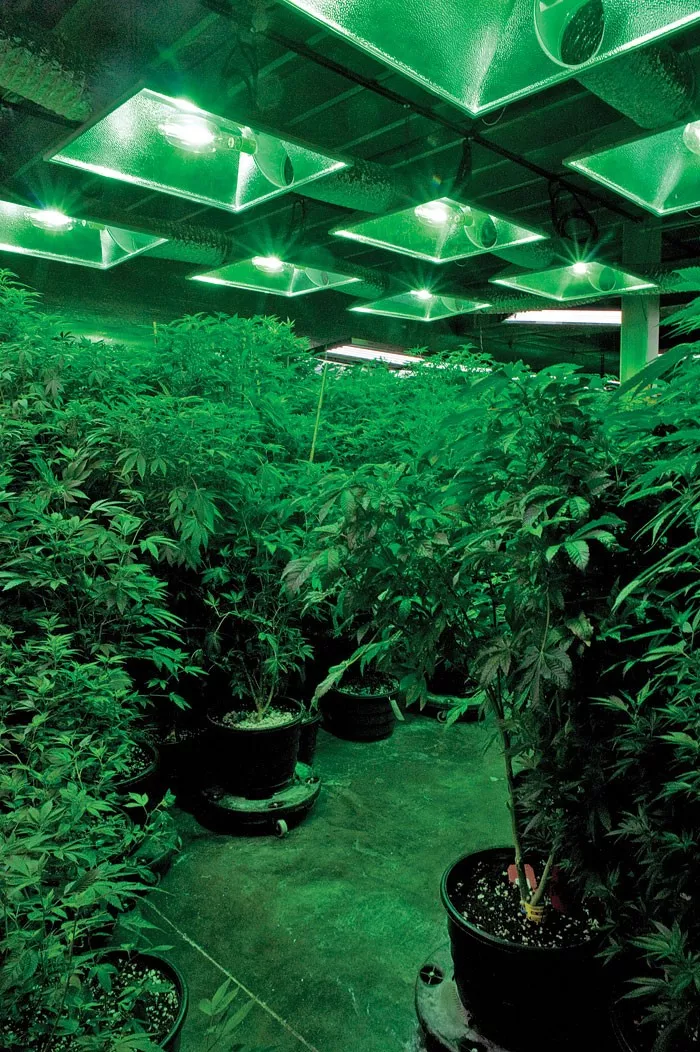 FLASHBACK 2014: Colin Wolf and Colby Frazier journey to Colorado for n...