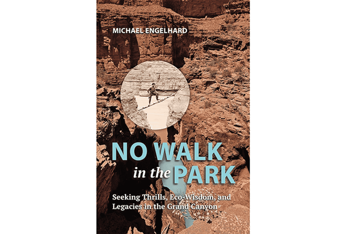 Book Review: No Walk in the Park by Michael Engelhard