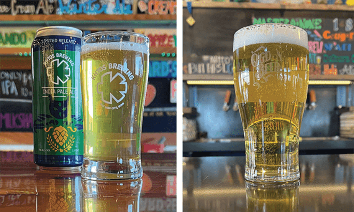 Ogden Beer Master of None and Kiitos India Pale Ale