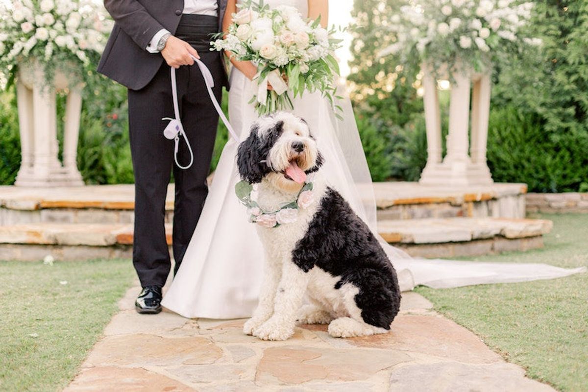 Grace & Michael: A Hoover Wedding
