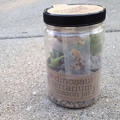 MakersKit Review: Dinosaur Kids Terrarium Craft Kit