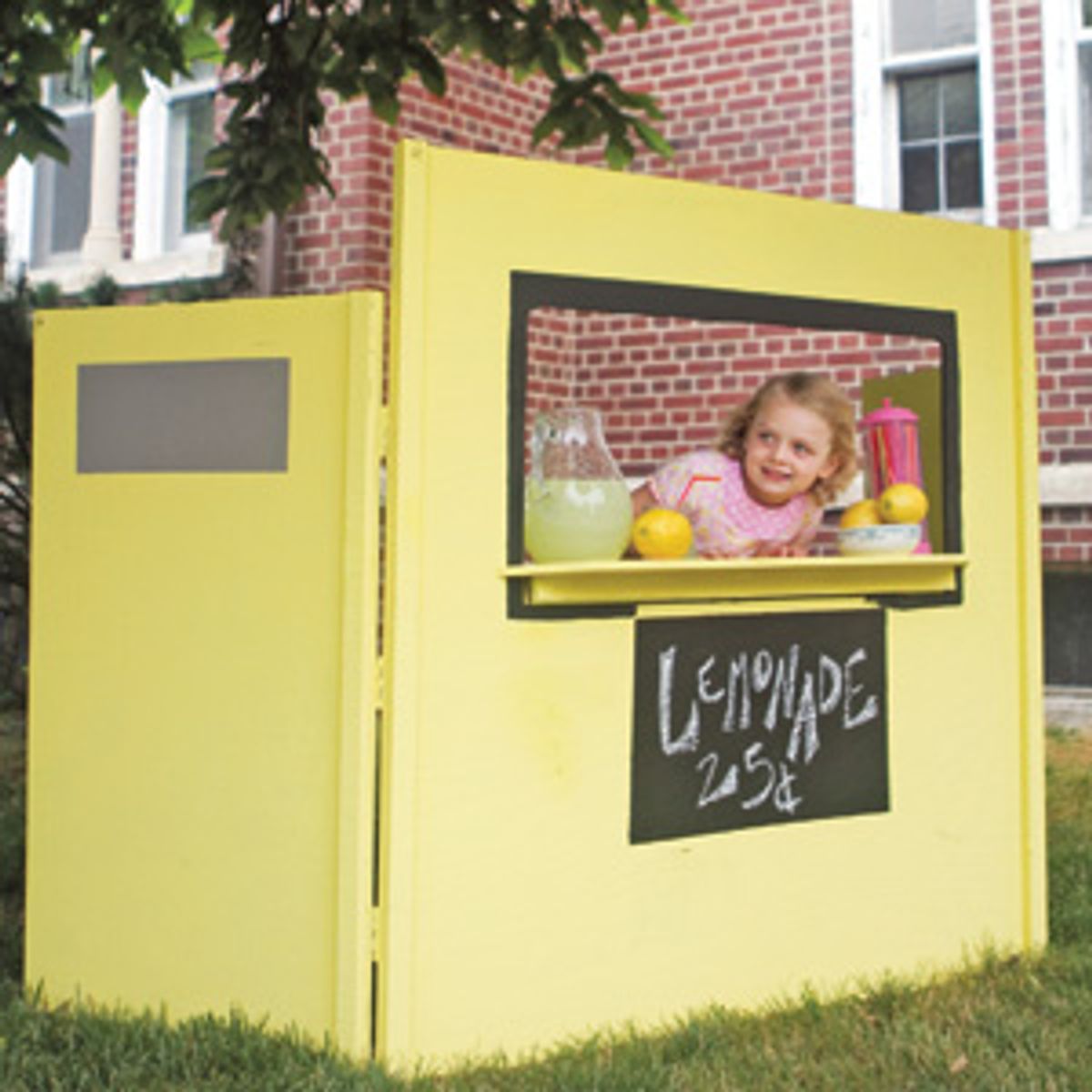 Make Your Own Lemonade Stand and Shelf