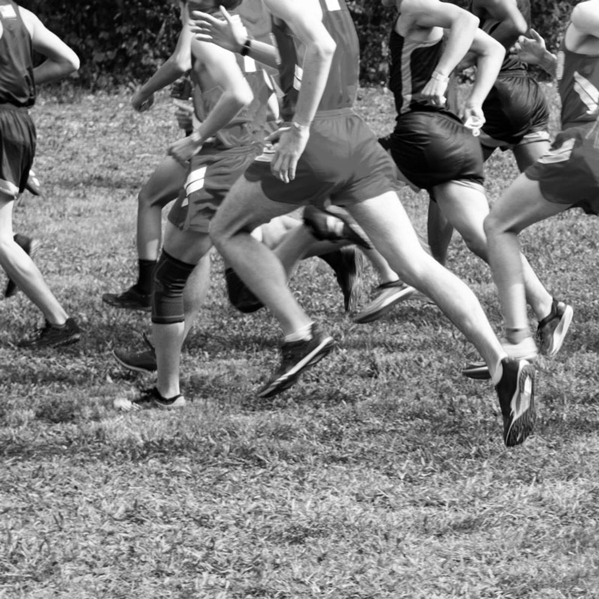 Fall Finalists: Boys Cross Country