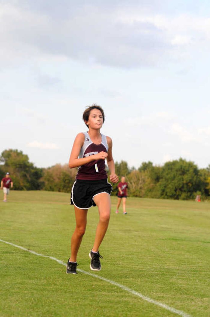 Tigers run at Lamar cross country Invitational