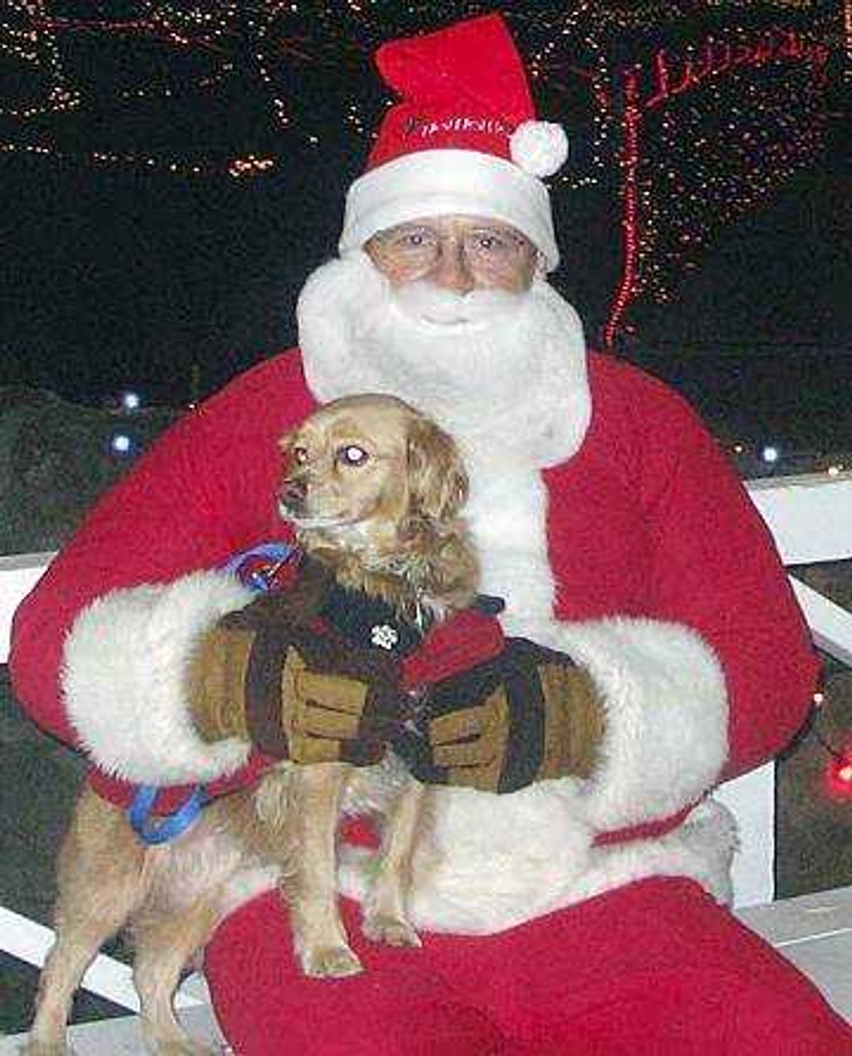Event gives pets access to Santa, too