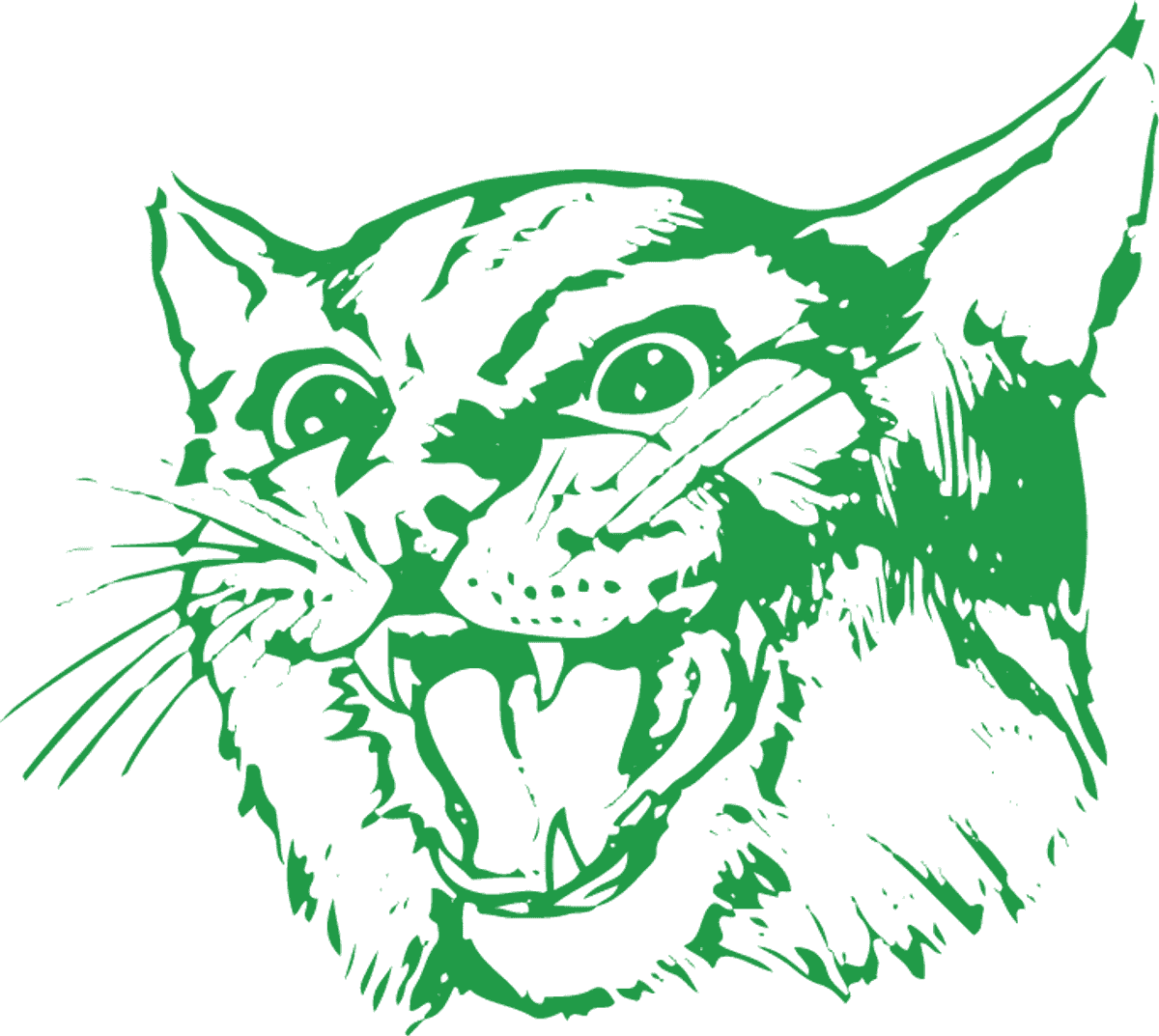 Bronaugh School Board Approves New Playground Ramp, Reviews Bus Routes...