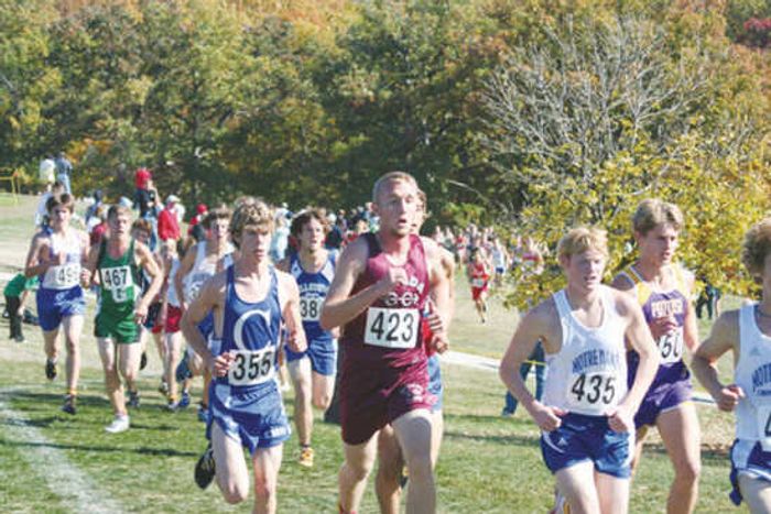 Nevada's Hinkle medals at state meet