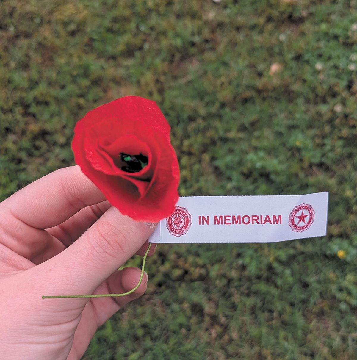 American Legion Auxiliary Unit #2 Honors Veterans During Ann...