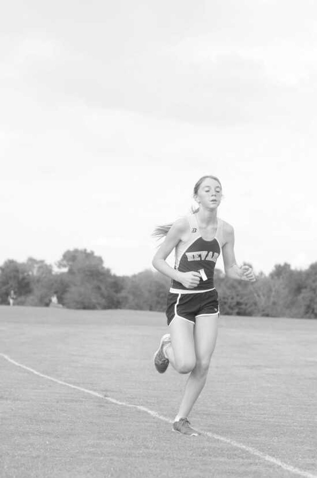 Tigers run at Lamar cross country Invitational