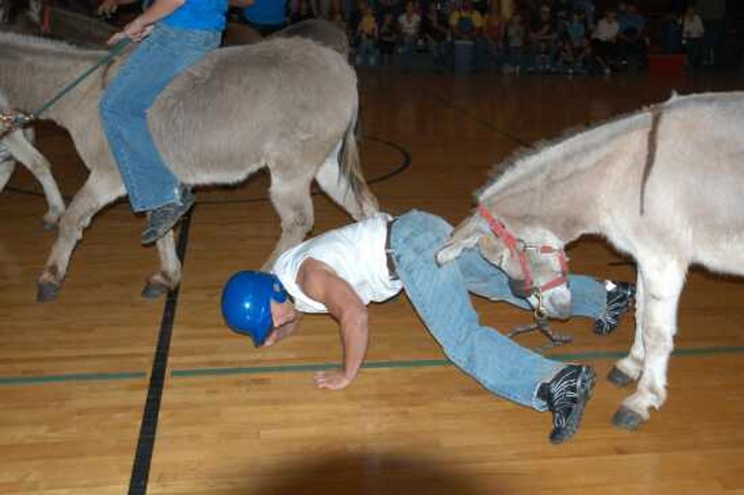 Donkeys show riders who's boss in Walker, Bronaugh