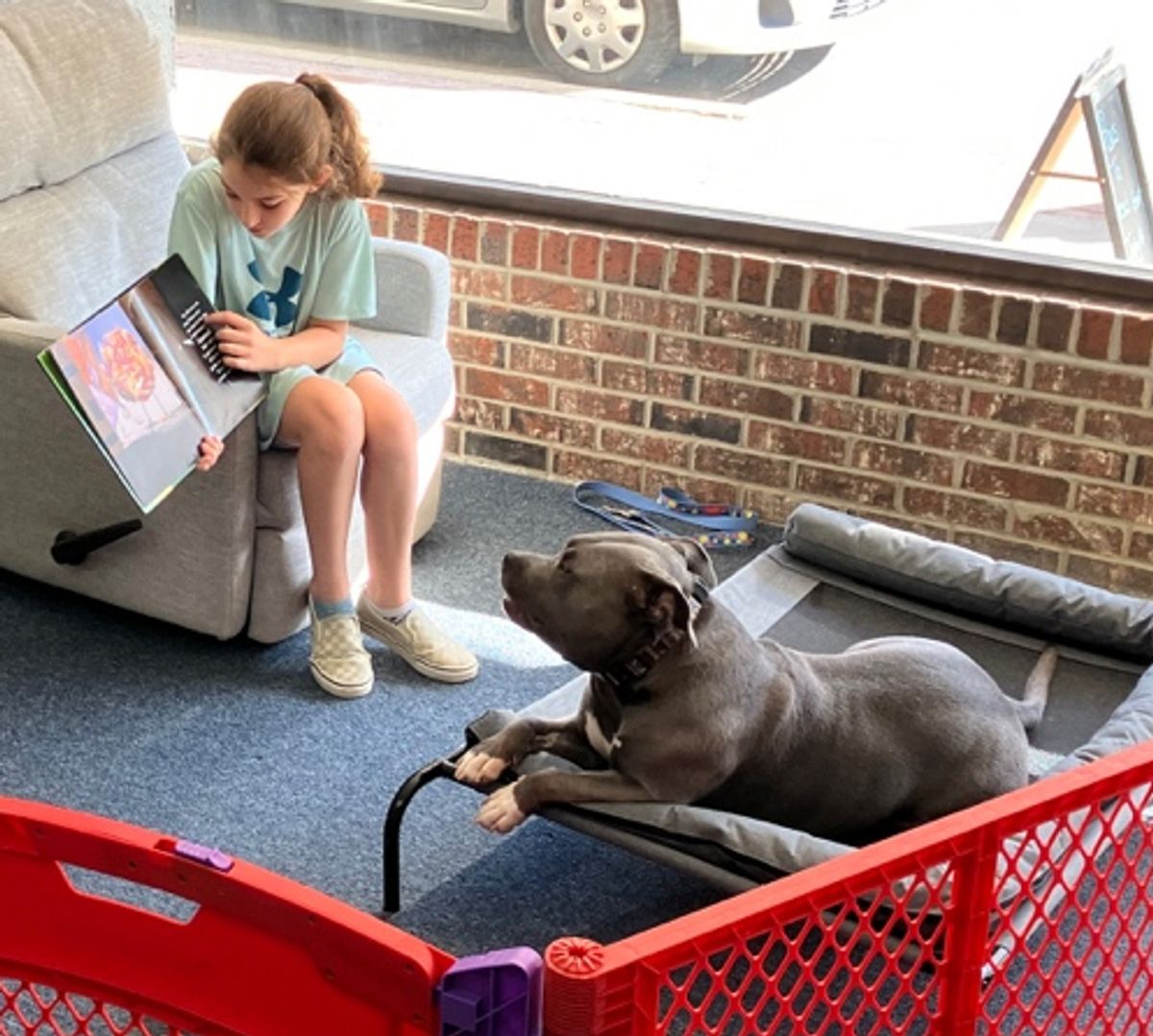 PAWS for Reading: Kids Gain Confidence by Reading Aloud to Franklin th...