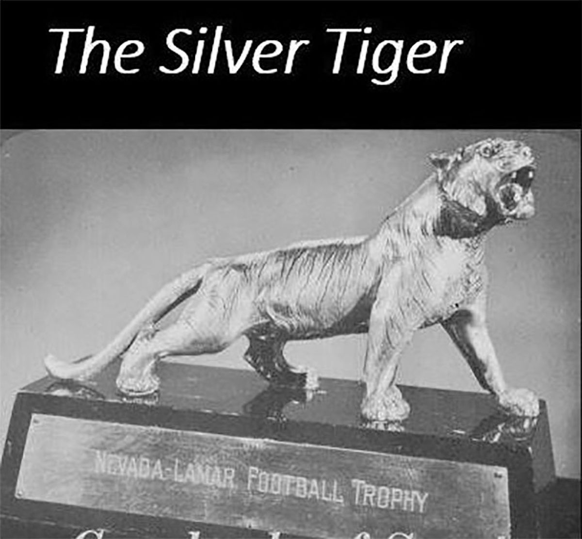 Facts about the Silver Tiger