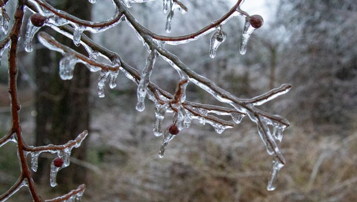PHOTO GALLERY: Winter Storm Fern hits Warren County