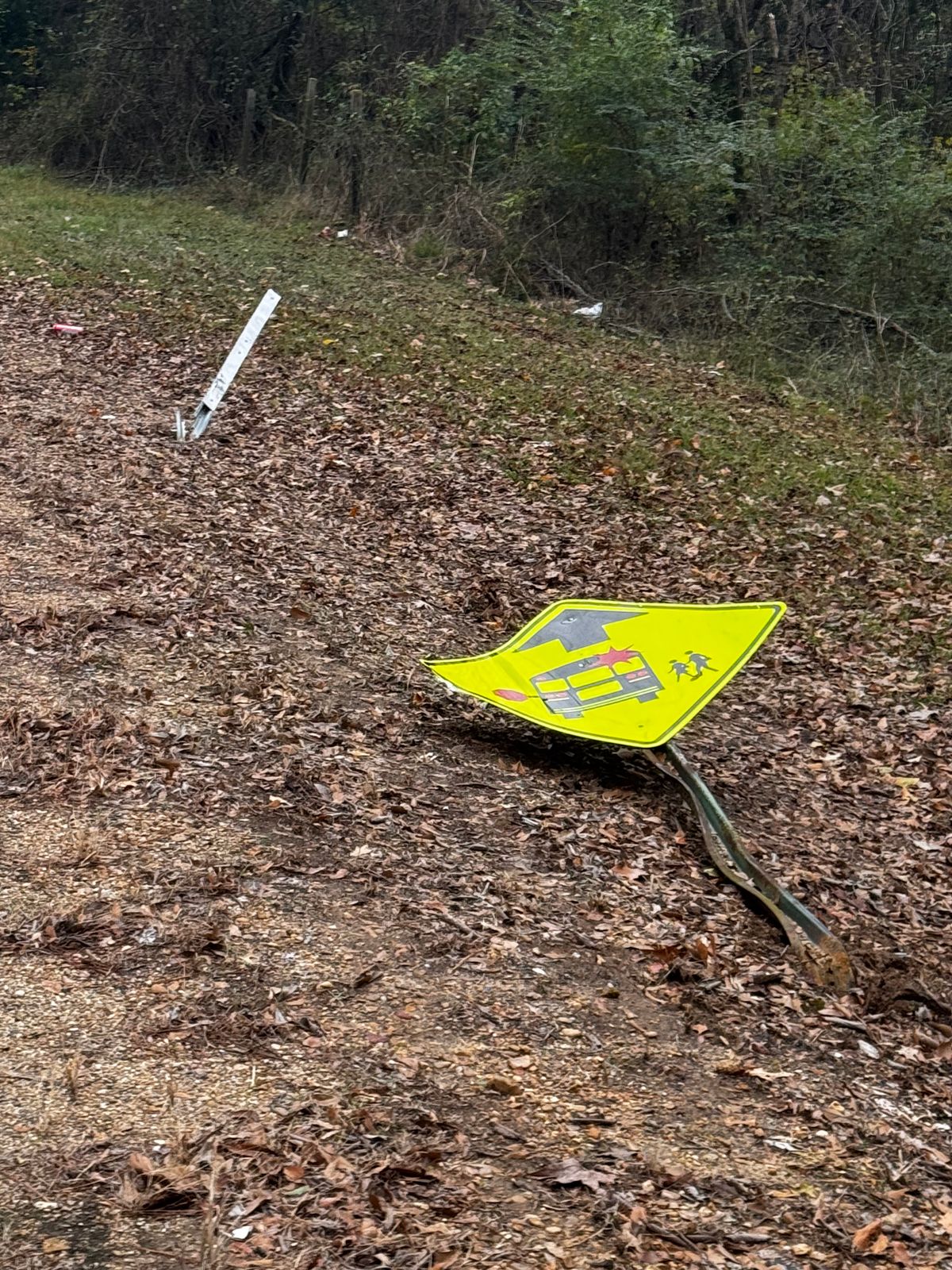 PLEASE FIX: School bus sign on Dana Rd.
