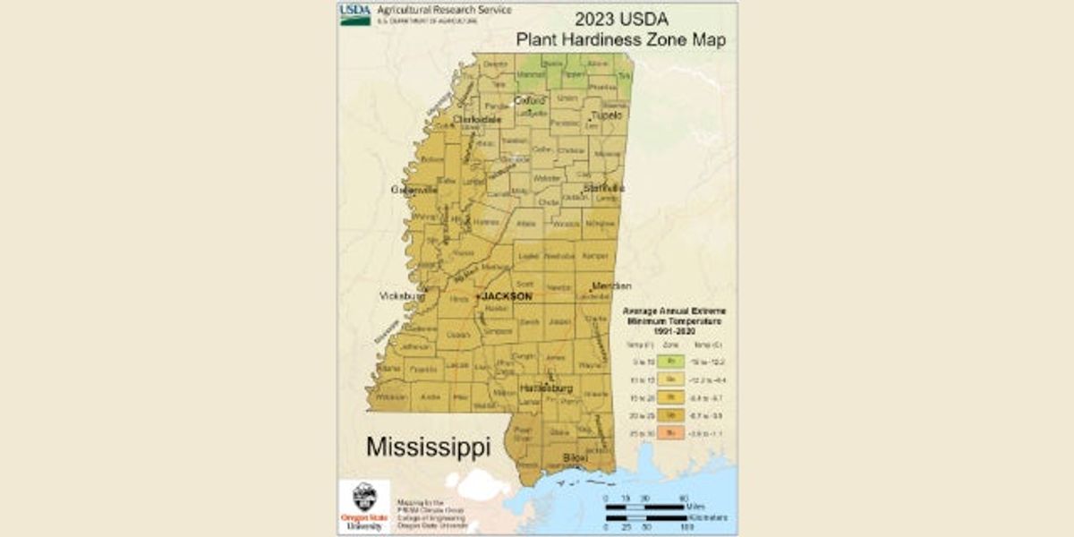 USDA changes zones for Mississippi plants