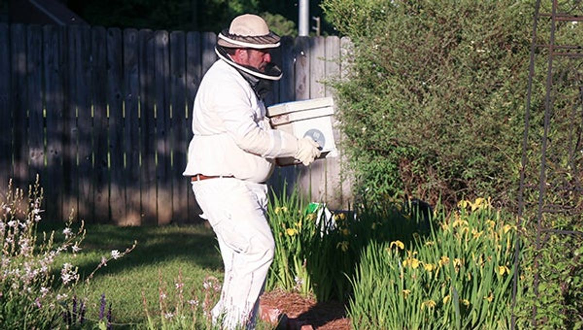 Beekeeper Gregg Logan finds bees interesting and loves the h...