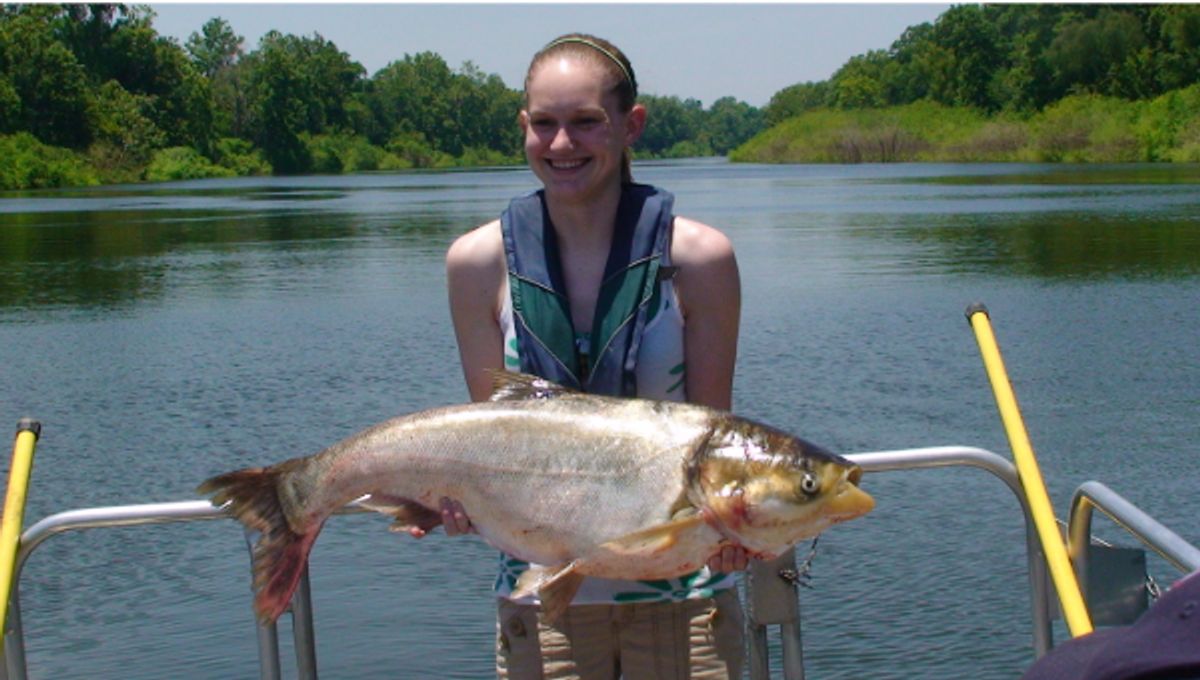 KILLGORE: The bullet fish of the Mississippi River