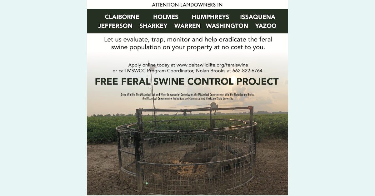 Delta Wildlife now accepting applications for feral swine co...