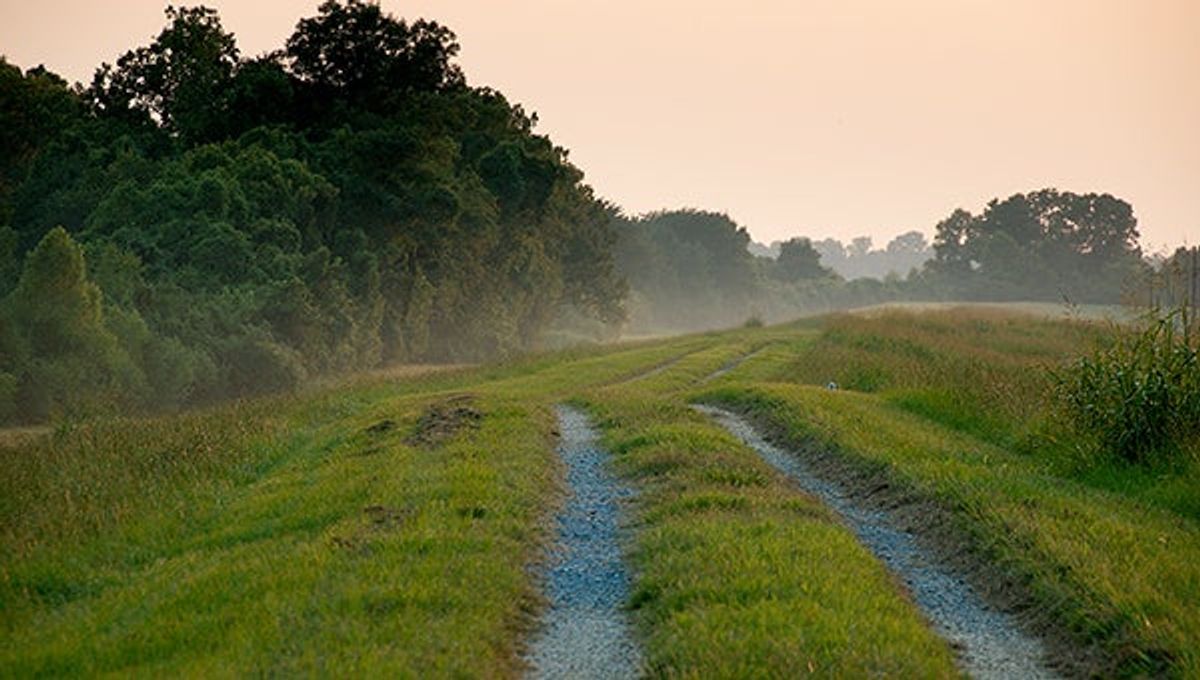 Rural Mississippi is more valuable than ever