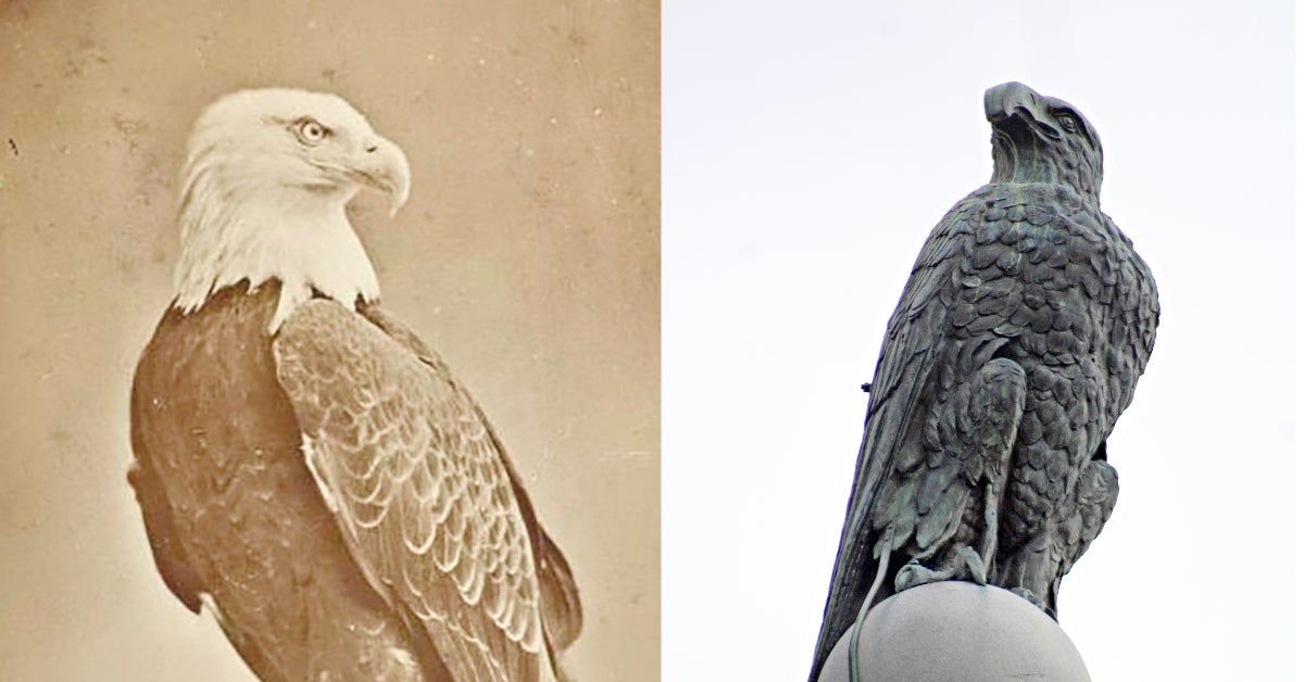 RIDING INTO BATTLE ON EAGLE'S WINGS: The legend of 'Old Abe' endures f...