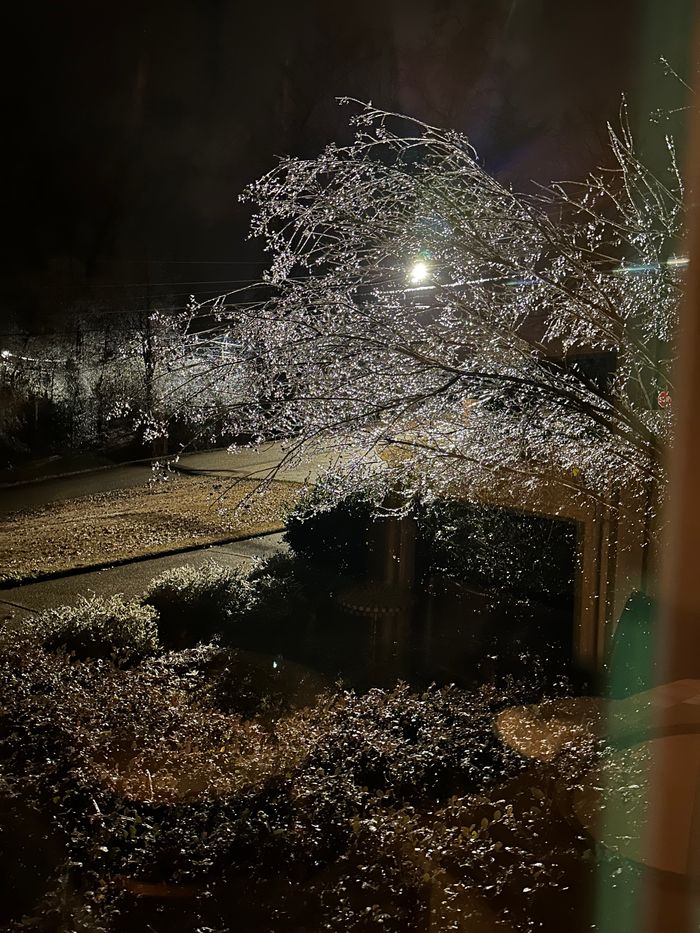 PHOTO GALLERY: Winter Storm Fern hits Warren County