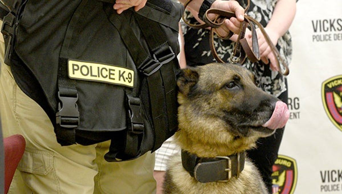 Students help protect the protectors