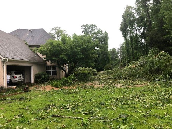 Photo Gallery: downed trees, limbs and powerlines after severe weather