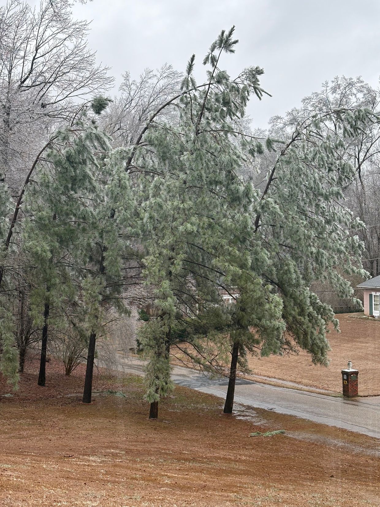 Warren County reports winter storm death