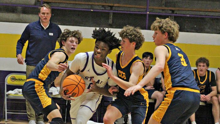 Flashes, Vikings drop district games; Gators stomp Florence