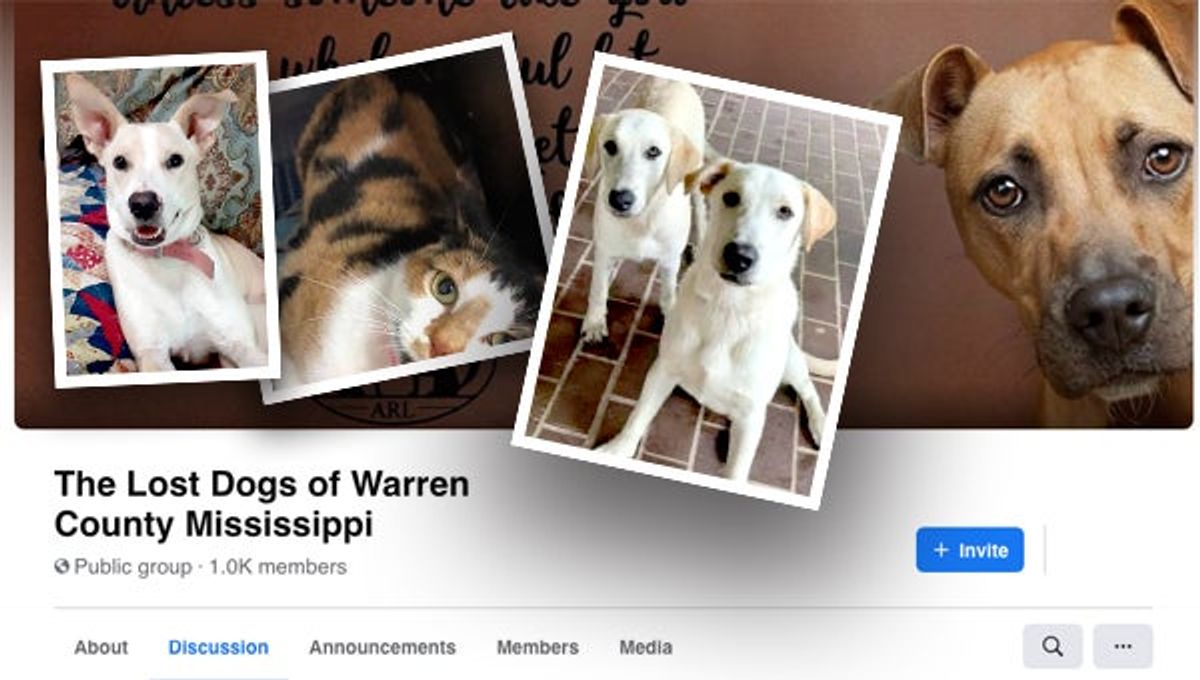 Facebook page seeks to reunite lost pets with their families