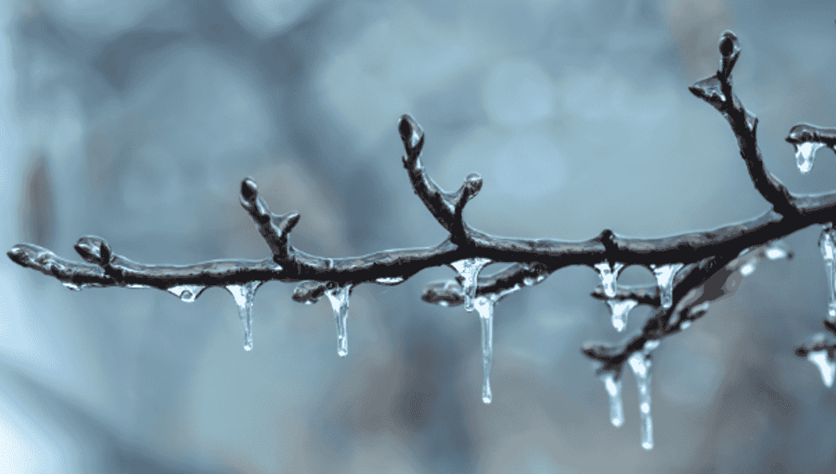 National Weather Service: 'Be prepared' for severe weekend weather