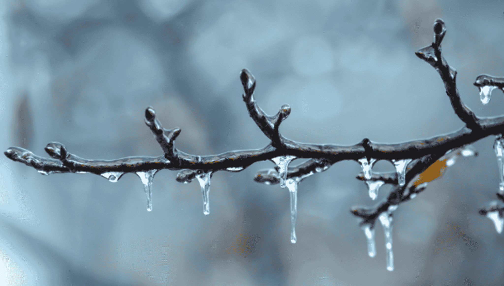 Ice causes power outages, road hazards across Warren County