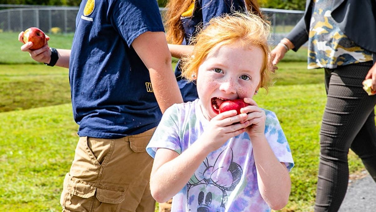 Crunch heard 'round the Commonwealth