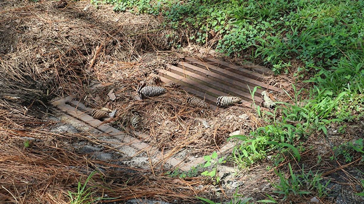 Windsor storm drain cleaning highlighted