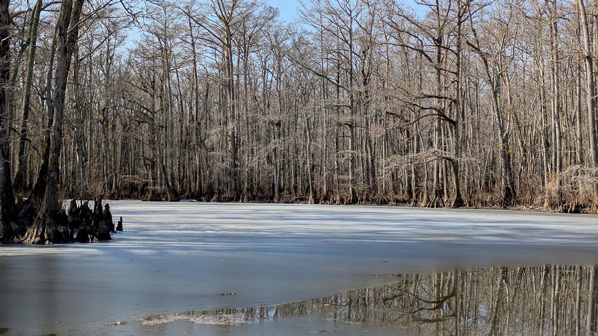 No fish for you on the Nottoway