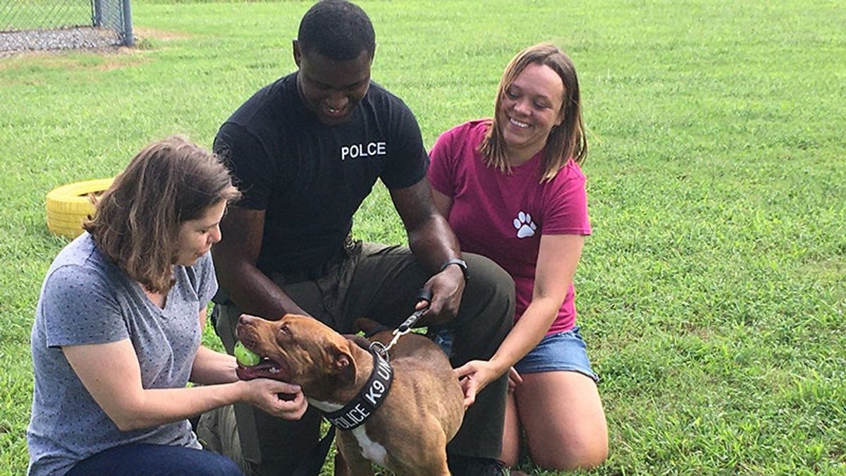Coco returns … as K9 Fuse